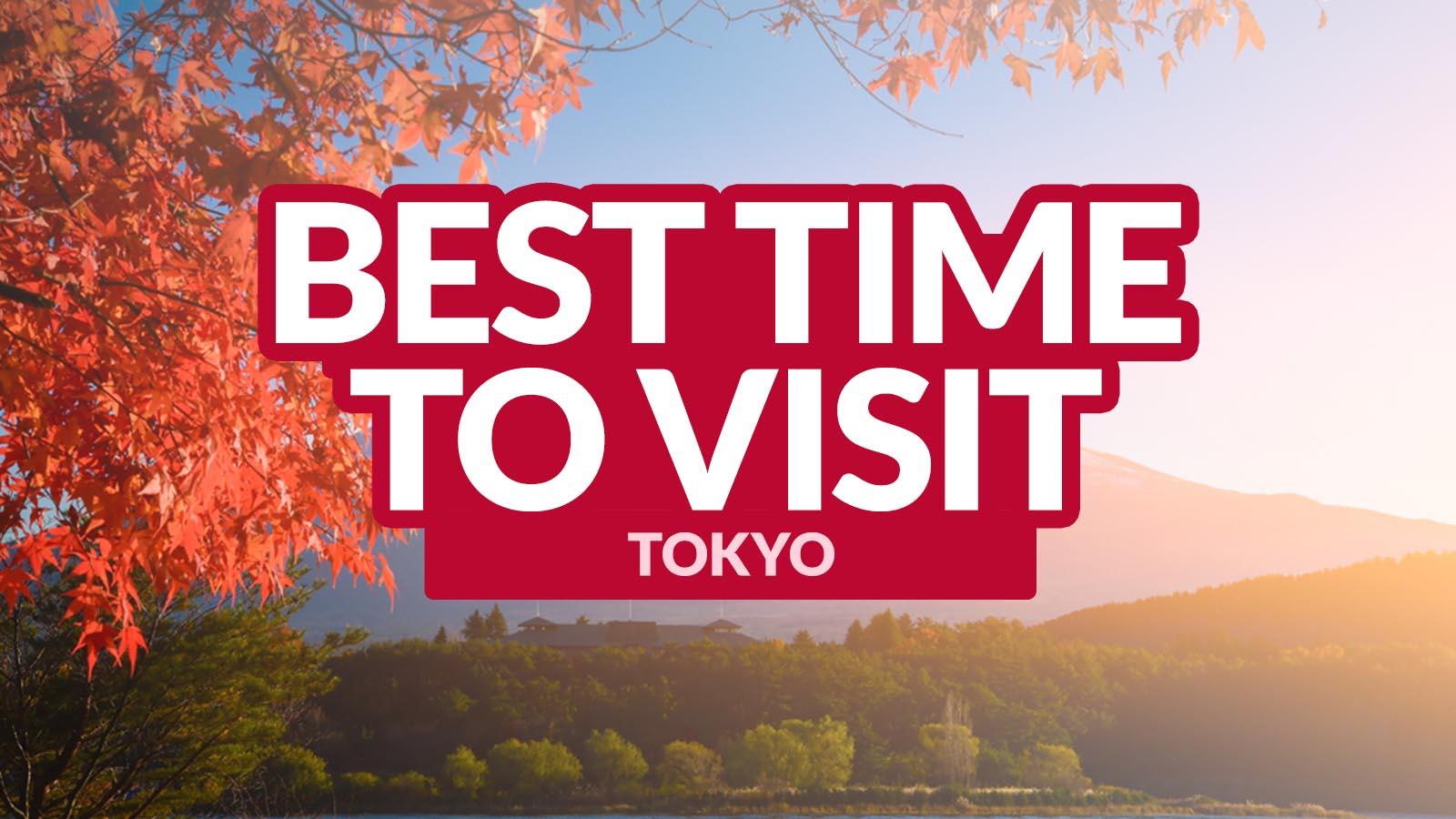 BEST TIME TO VISIT TOKYO - Japan Travel Now BEST TIME TO VISIT TOKYO - Japan Travel Now